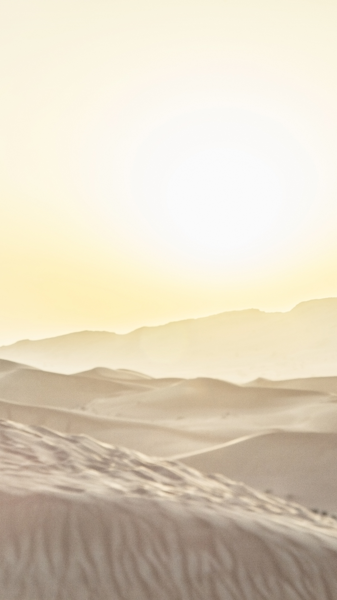 About Faisal Holding | Faisal Holding