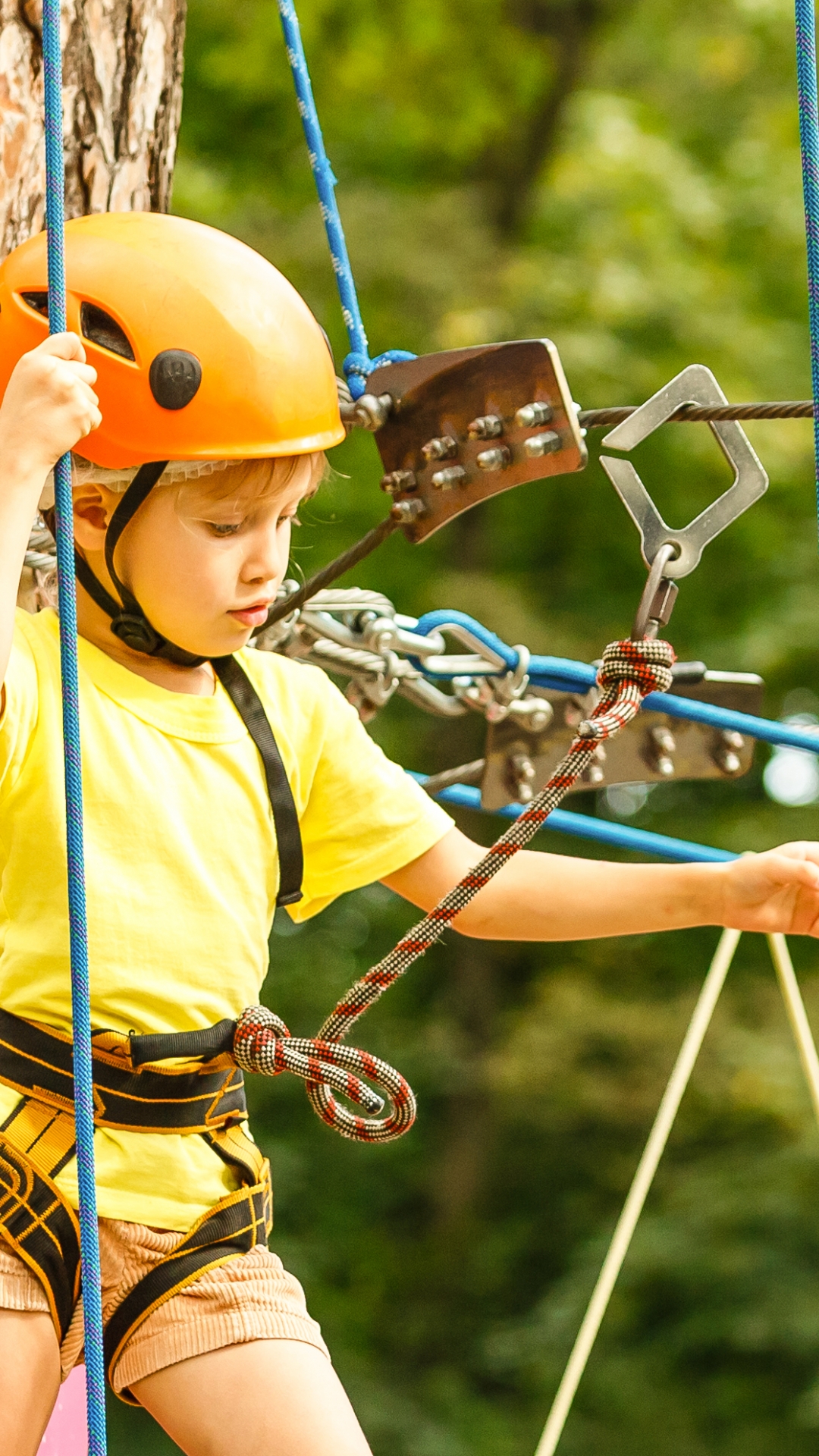 Education & Adventure | Faisal Holding